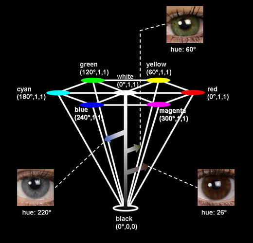 The Blue-Eyes Stereotype: Do Eye Color, Pupil Diameter, and Scleral ...