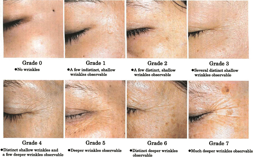 Comparative Evaluation of Wrinkle Treatments | SpringerLink
