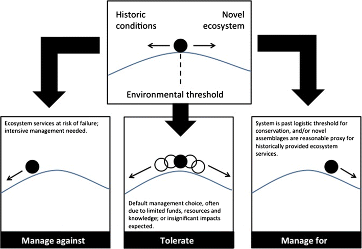 What is Novel About Novel Ecosystems: Managing Change in an Ever-Changing World | SpringerLink