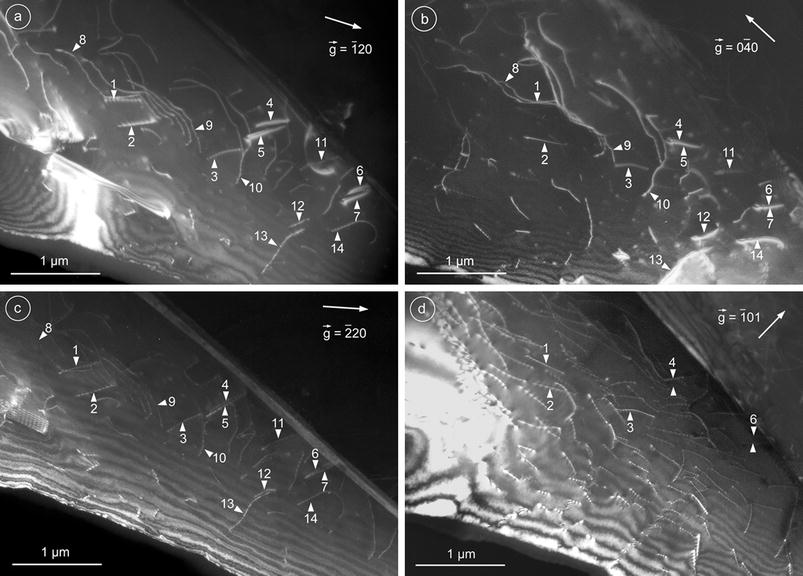 TEM characterization of dislocations and slip systems in stishovite ...