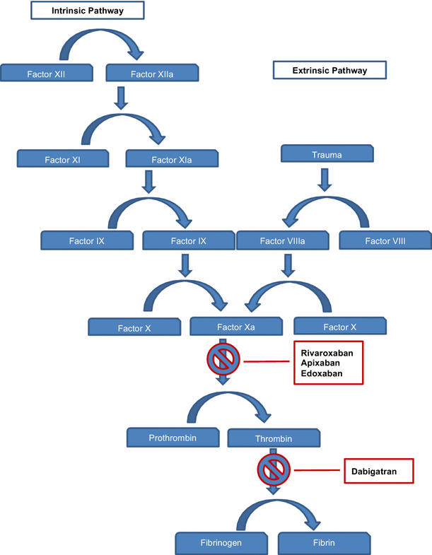 Direct Oral Anticoagulants: An Overview for the Interventional ...