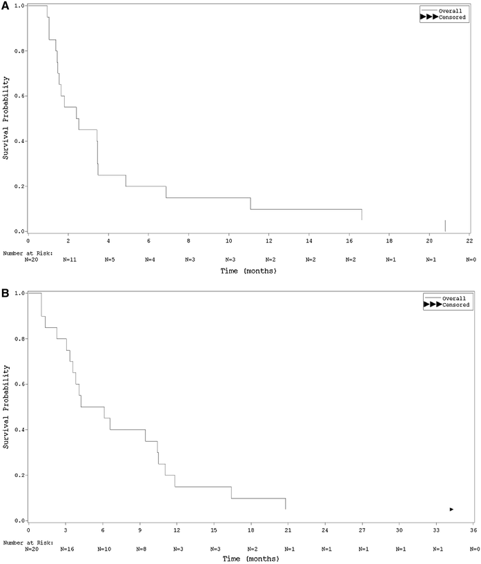 Image-Guided Transarterial Chemoembolization With Drug-Eluting Beads ...