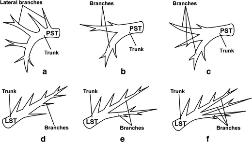 Ramification of Glisson’s sheath peripheral branches and clinical ...