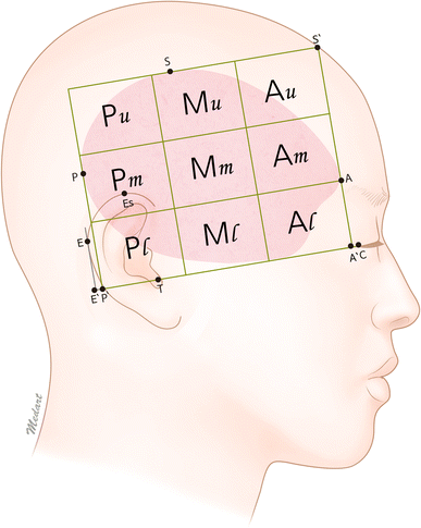 Anatomical recommendations for safe botulinum toxin injection into ...