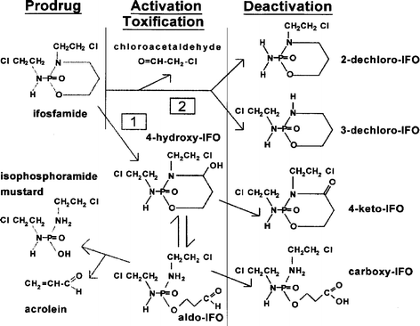 Chloroacetaldehyde: mode of antitumor action of the ifosfamide ...