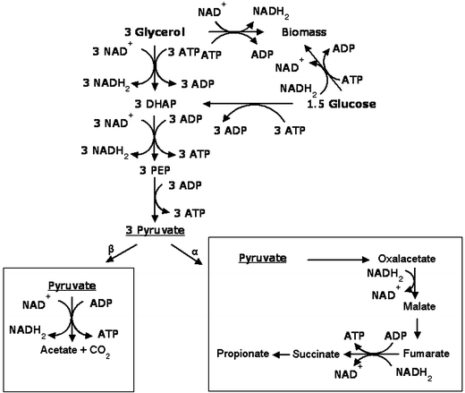 Glycerol/Glucose Co-Fermentation: One More Proficient Process to ...