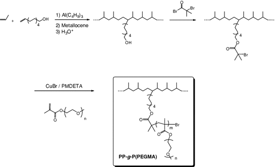 Synthesis and hydrophilic property of polypropylene- graft-poly ...
