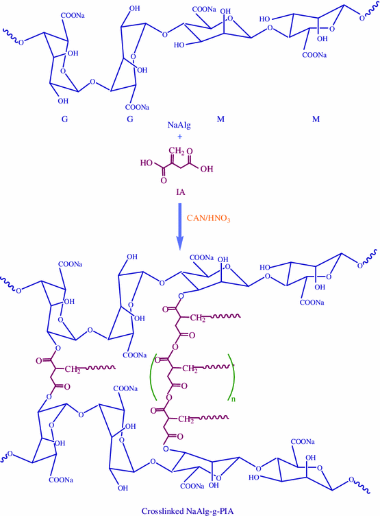 Synthesis and characterization of graft copolymer of sodium alginate ...