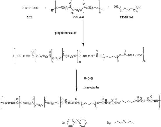 Synthesis of biodegradable polycaprolactone/polyurethane by curing with ...