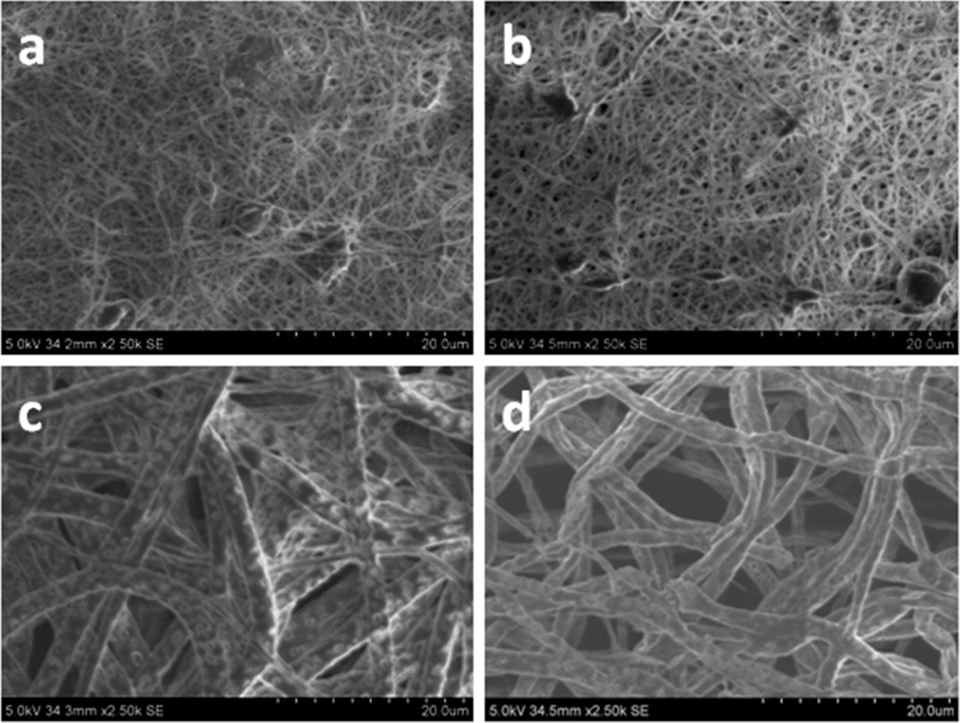Simple and efficient approach for improved cytocompatibility and faster ...