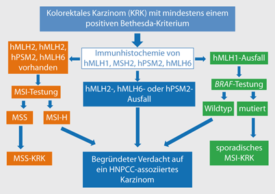 Kolorektale Karzinome unter Berücksichtigung der neuen S3-Leitlinie von ...