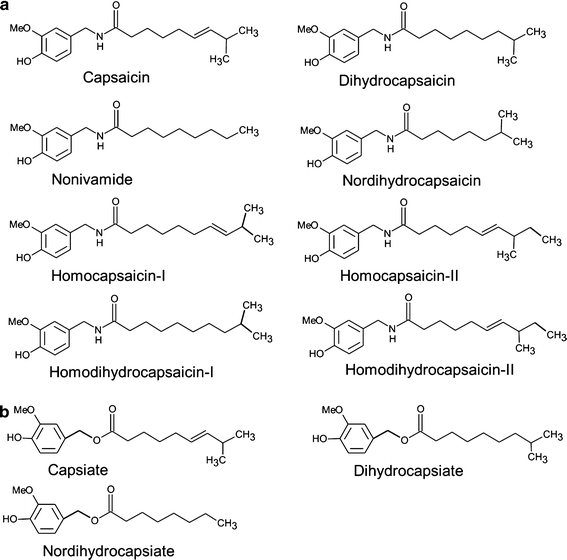 Molecular biology of capsaicinoid biosynthesis in chili pepper ...