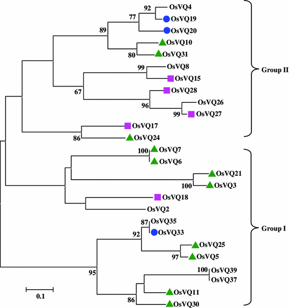 Comprehensive analysis of VQ motif-containing gene expression in rice defense responses to three ...