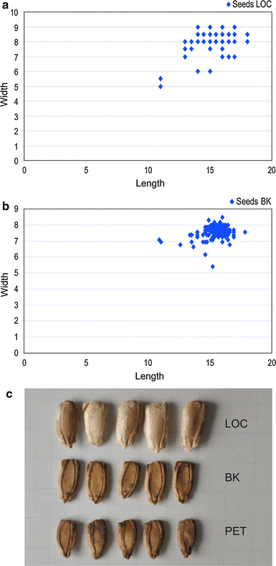 A short history of Lagenaria siceraria (bottle gourd) in the Roman ...
