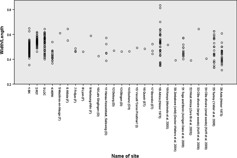 A short history of Lagenaria siceraria (bottle gourd) in the Roman ...