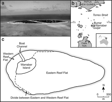 Carbonate production of an emergent reef platform, Warraber Island ...