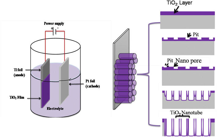 Structural, morphological, and wettability study of electrochemically ...