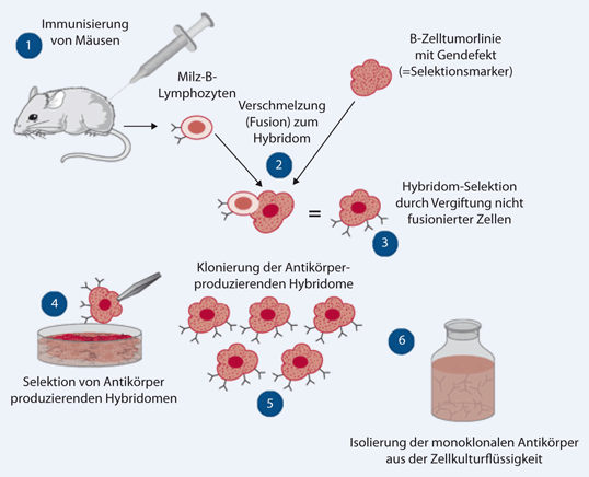 Biologika | SpringerLink