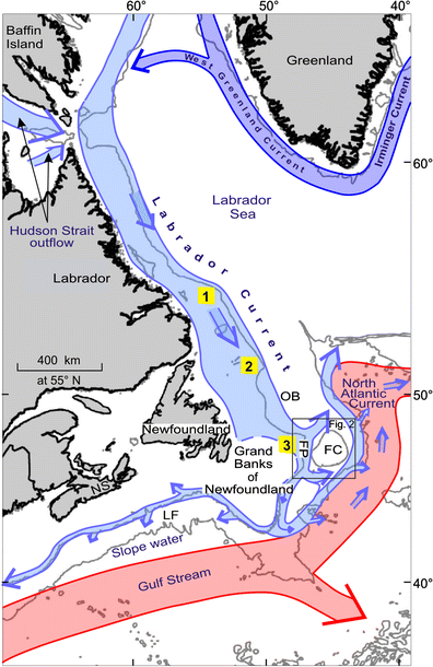 Late Quaternary history of contourite drifts and variations in Labrador ...