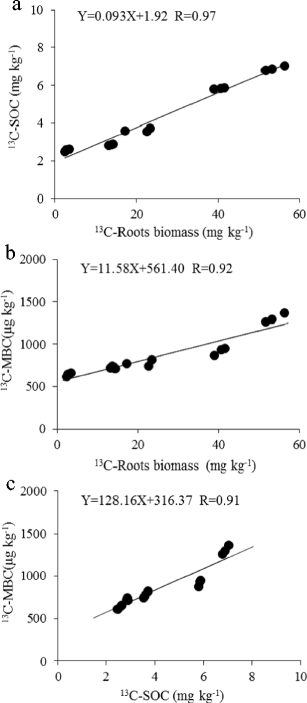 Microbial utilization of rice root exudates: 13C labeling and PLFA ...
