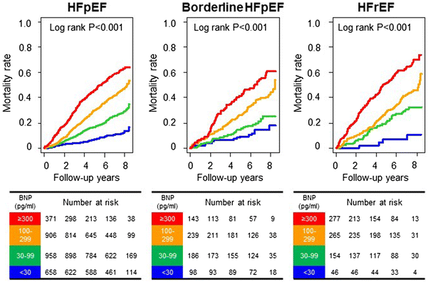 Comparable prognostic impact of BNP levels among HFpEF, Borderline ...