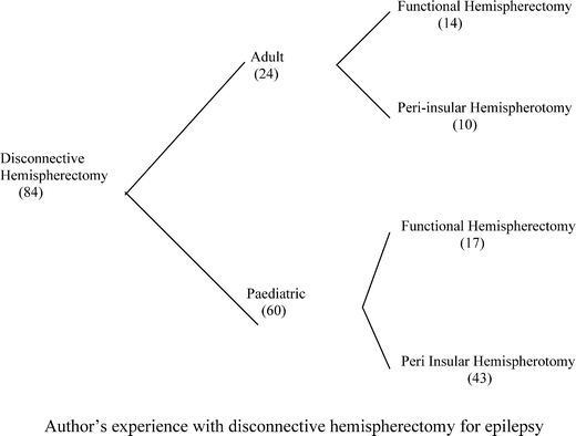 Peri-insular hemispherotomy in paediatric epilepsy | SpringerLink