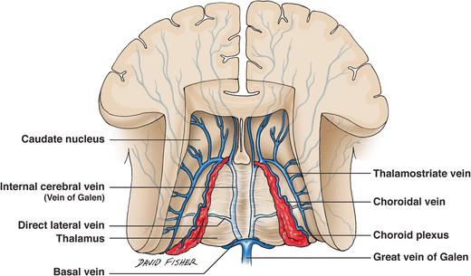 The Roman Empire legacy of Galen (129–200 ad) | SpringerLink
