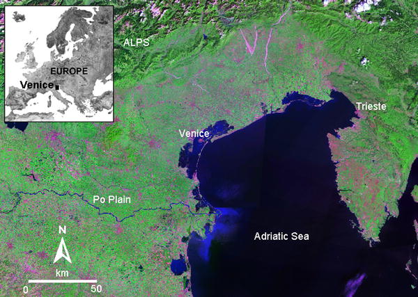 Global change and relative sea level rise at Venice: what impact in ...