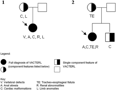 Inheritance of the VATER/VACTERL association | SpringerLink