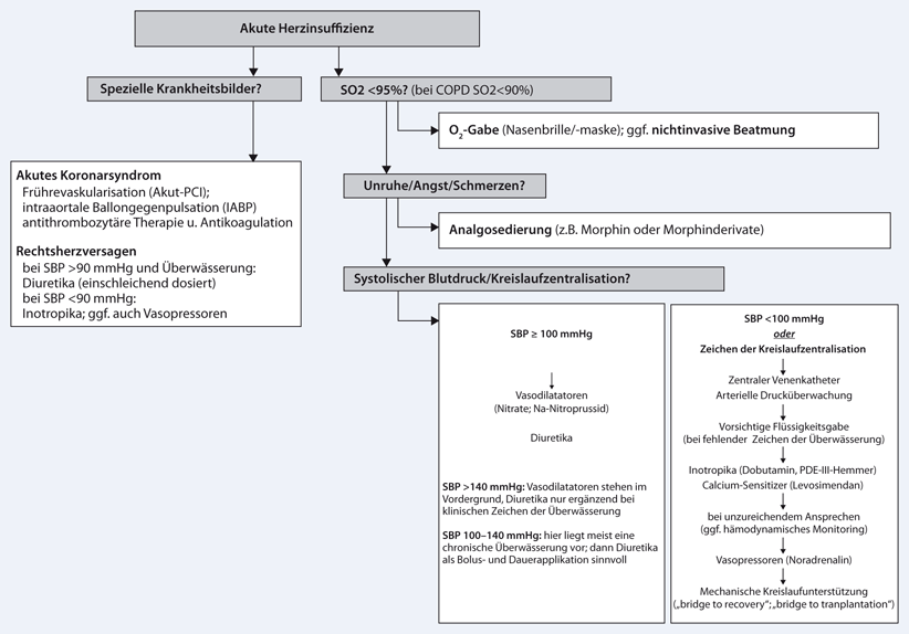 ESC-Leitlinien 2008 | SpringerLink