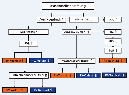 Bedeutung und Einsatz der Beatmung bei akut dekompensierter ...