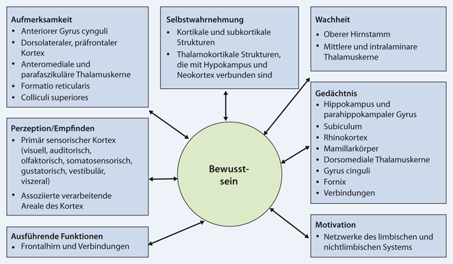 Algorithmen zur Abklärung von Bewusstseinsstörungen in der Notaufnahme ...