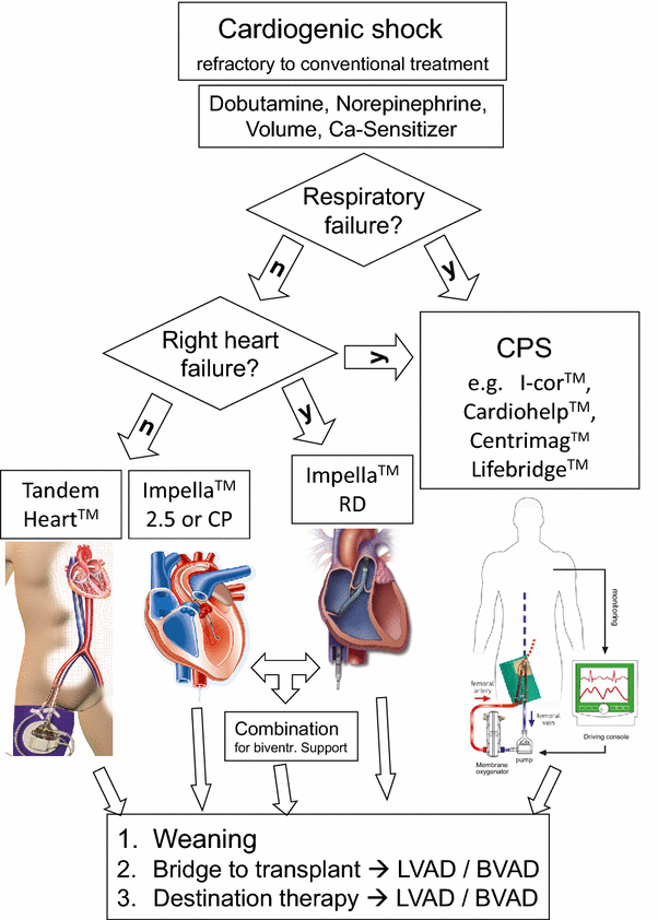 An insight into short- and long-term mechanical circulatory support ...