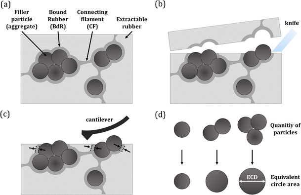 Bound rubber morphology and loss tangent properties of carbon-black ...
