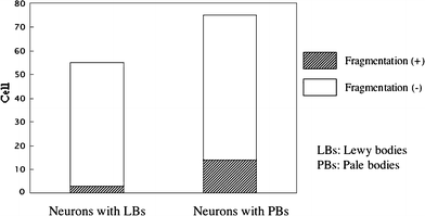 Fragmentation of Golgi apparatus of nigral neurons with α-synuclein ...