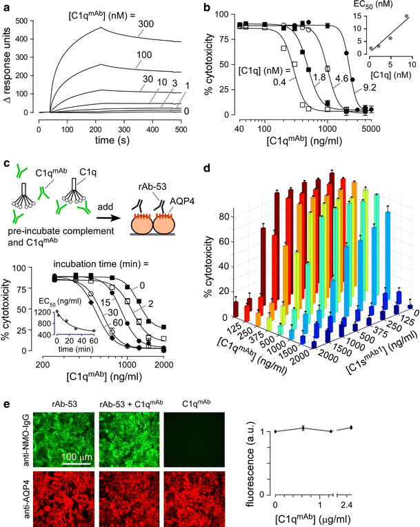 C1q-targeted monoclonal antibody prevents complement-dependent ...