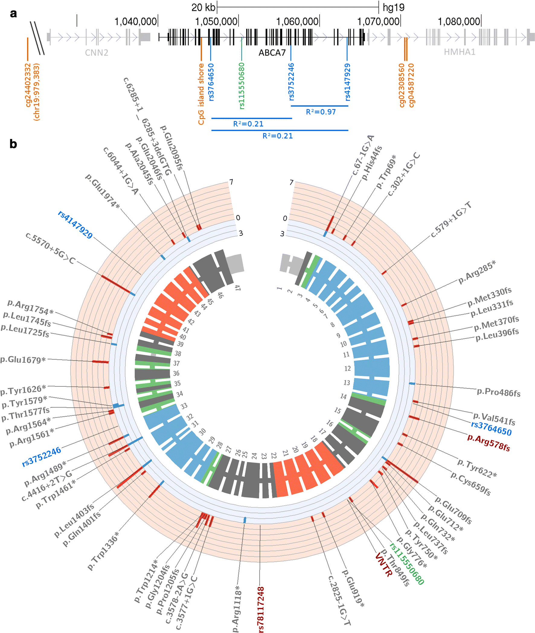 The role of ABCA7 in Alzheimer’s disease: evidence from genomics, transcriptomics and ...