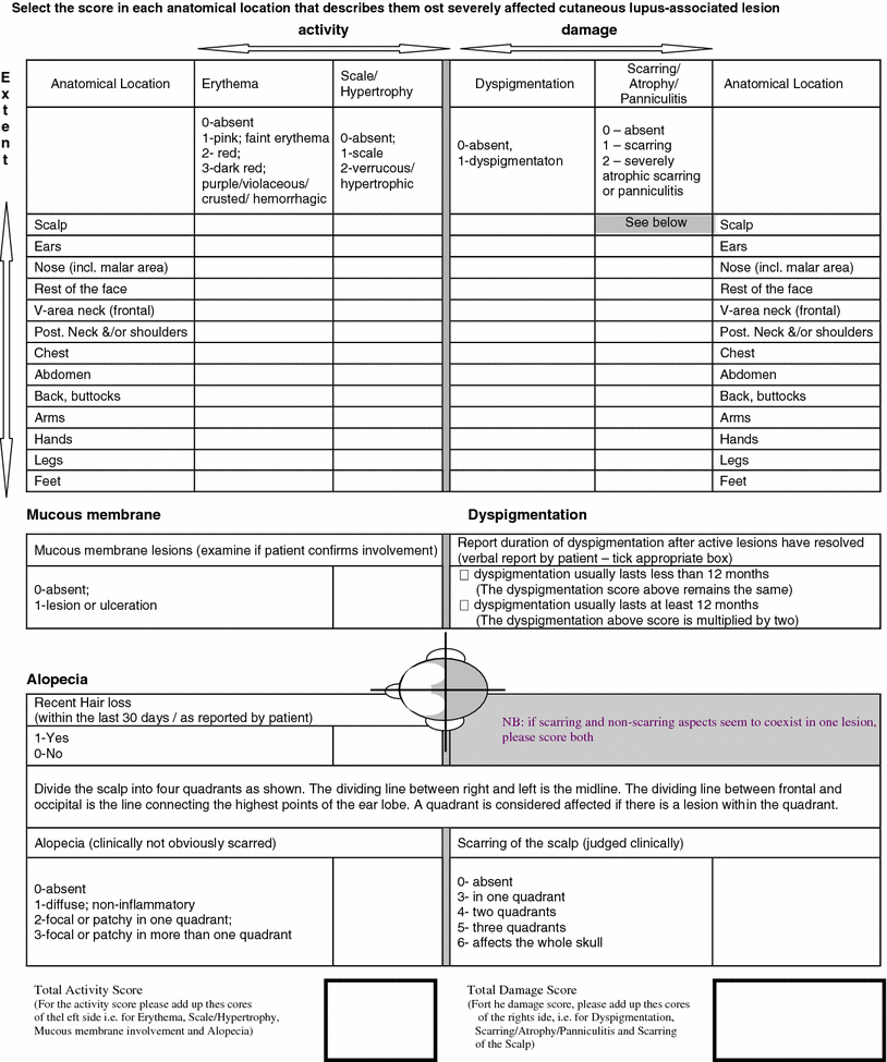 Development of outcome measures for autoimmune dermatoses | SpringerLink
