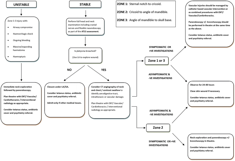 Management of penetrating neck injuries at a London trauma centre ...