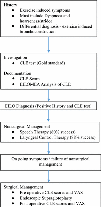 Exercise induced laryngeal obstruction: a review of diagnosis and ...