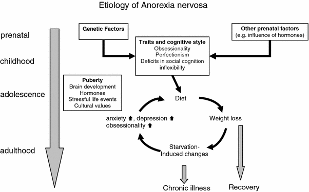 Aetiology of anorexia nervosa: from a “psychosomatic family model” to a ...
