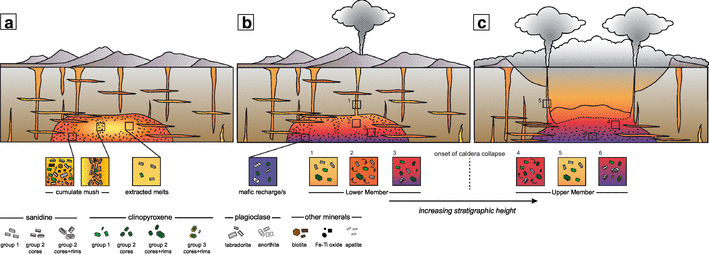 The role of magma mixing/mingling and cumulate melting in the ...