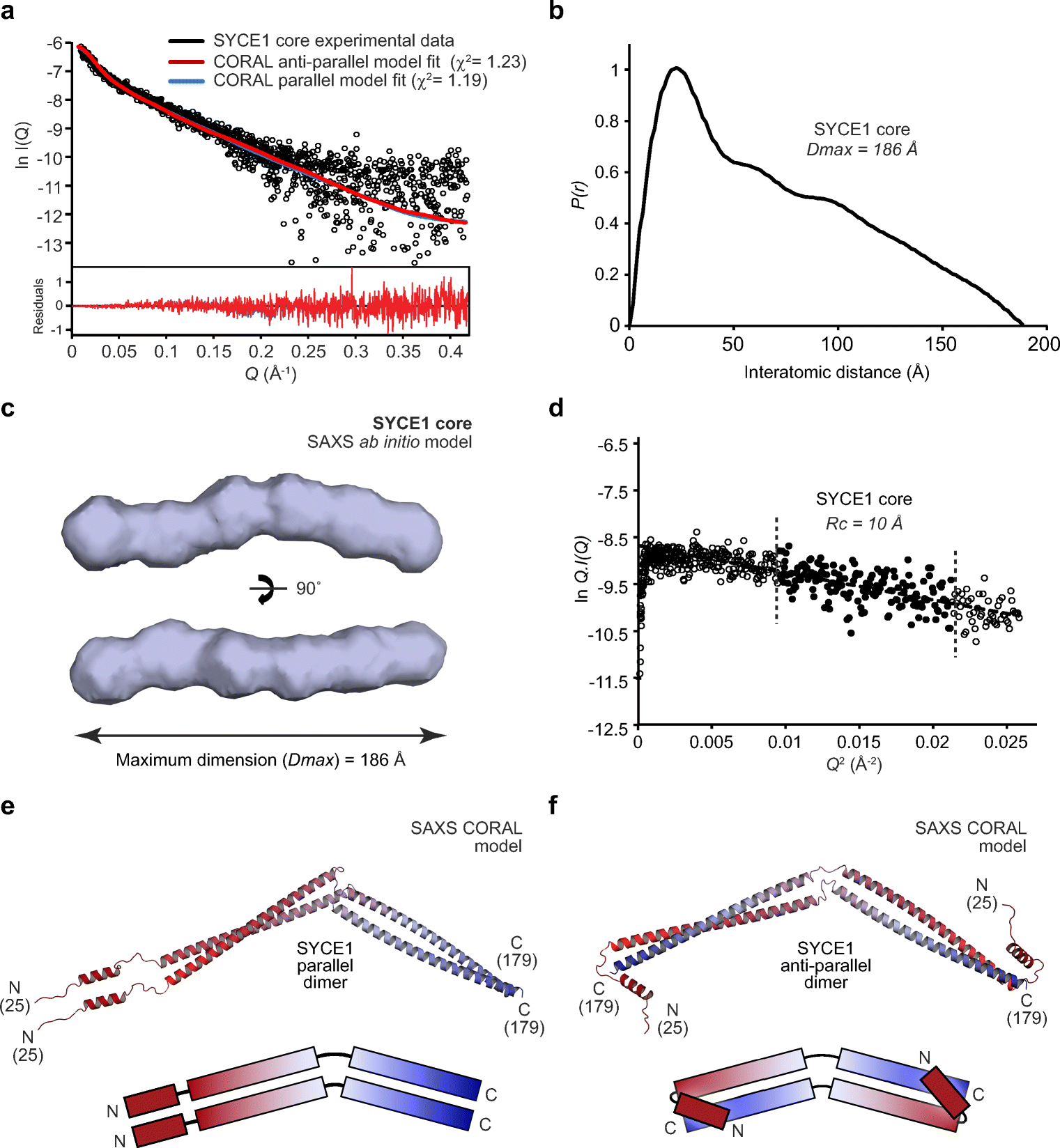 Molecular structure of human synaptonemal complex protein SYCE1 ...