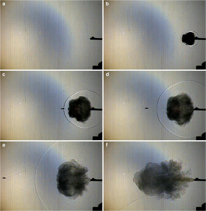 The effect of firearm muzzle gases on the backspatter of blood ...