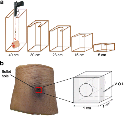 Estimation of the firing distance through micro-CT analysis of gunshot ...
