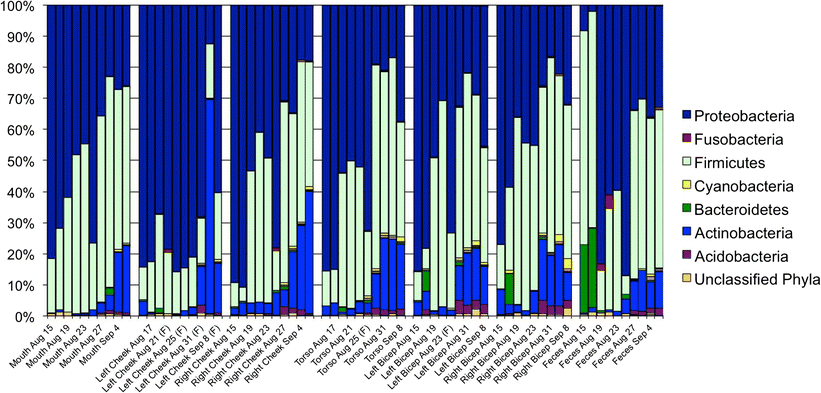 Initial insights into bacterial succession during human decomposition ...