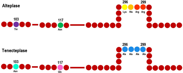 Intravenous tenecteplase in acute ischemic stroke: an updated review ...