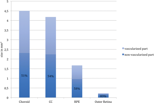 Characteristics of type 1 and 2 CNV in exudative AMD in OCT-Angiography ...