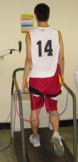 Increase in maximal oxygen uptake following 2-week walk training with ...