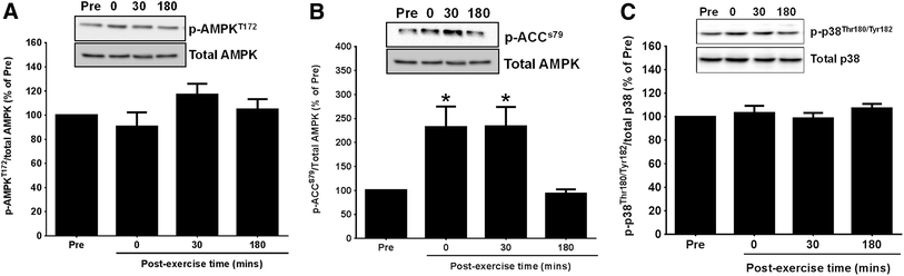 Physiological and molecular responses to an acute bout of reduced ...